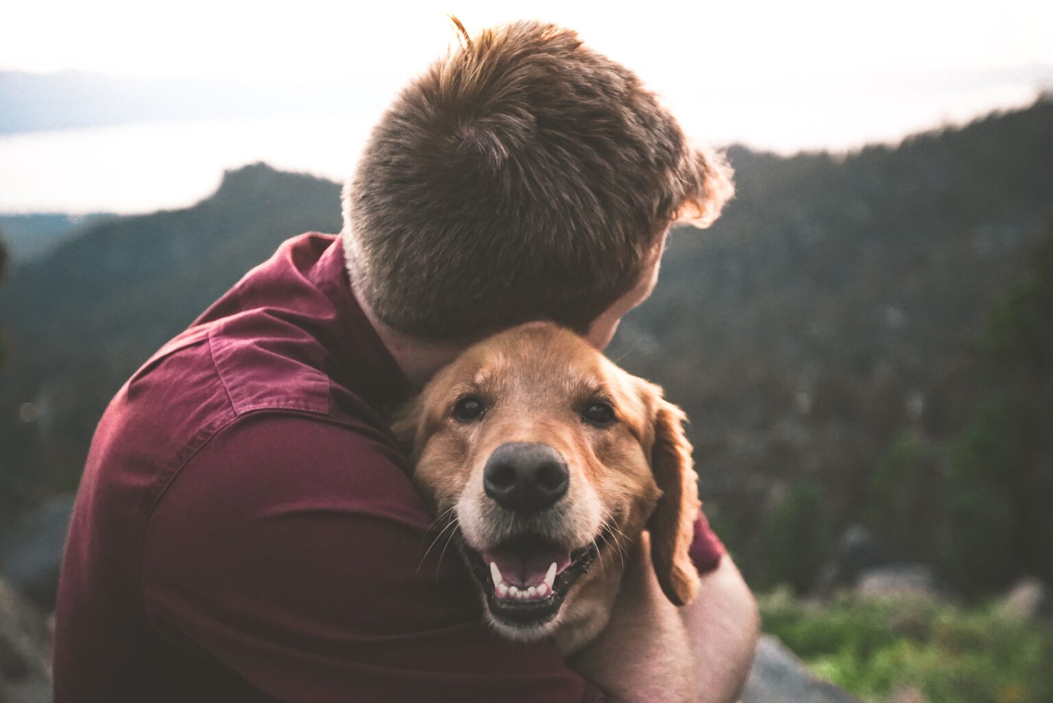 » How Pets Boost Emotional Development in Children Key Benefits