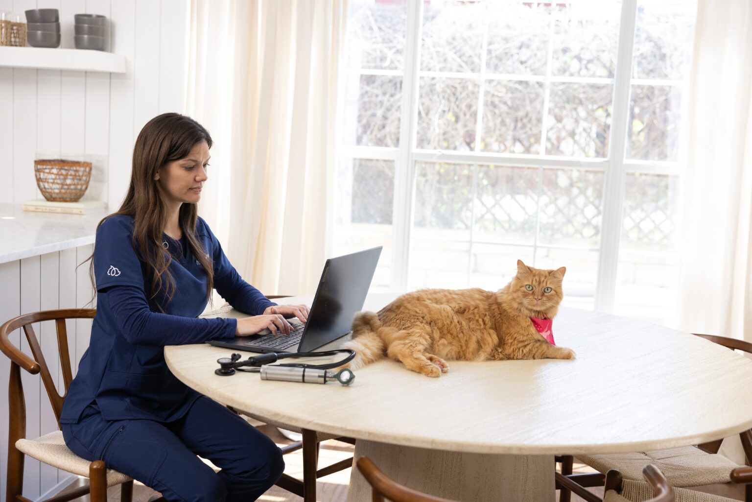 » How to Organize Your Home for Pet Wellness and Comfort