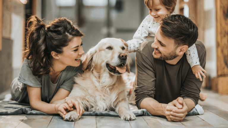 » Safe and Educative Pet Interaction for Young Children Guide